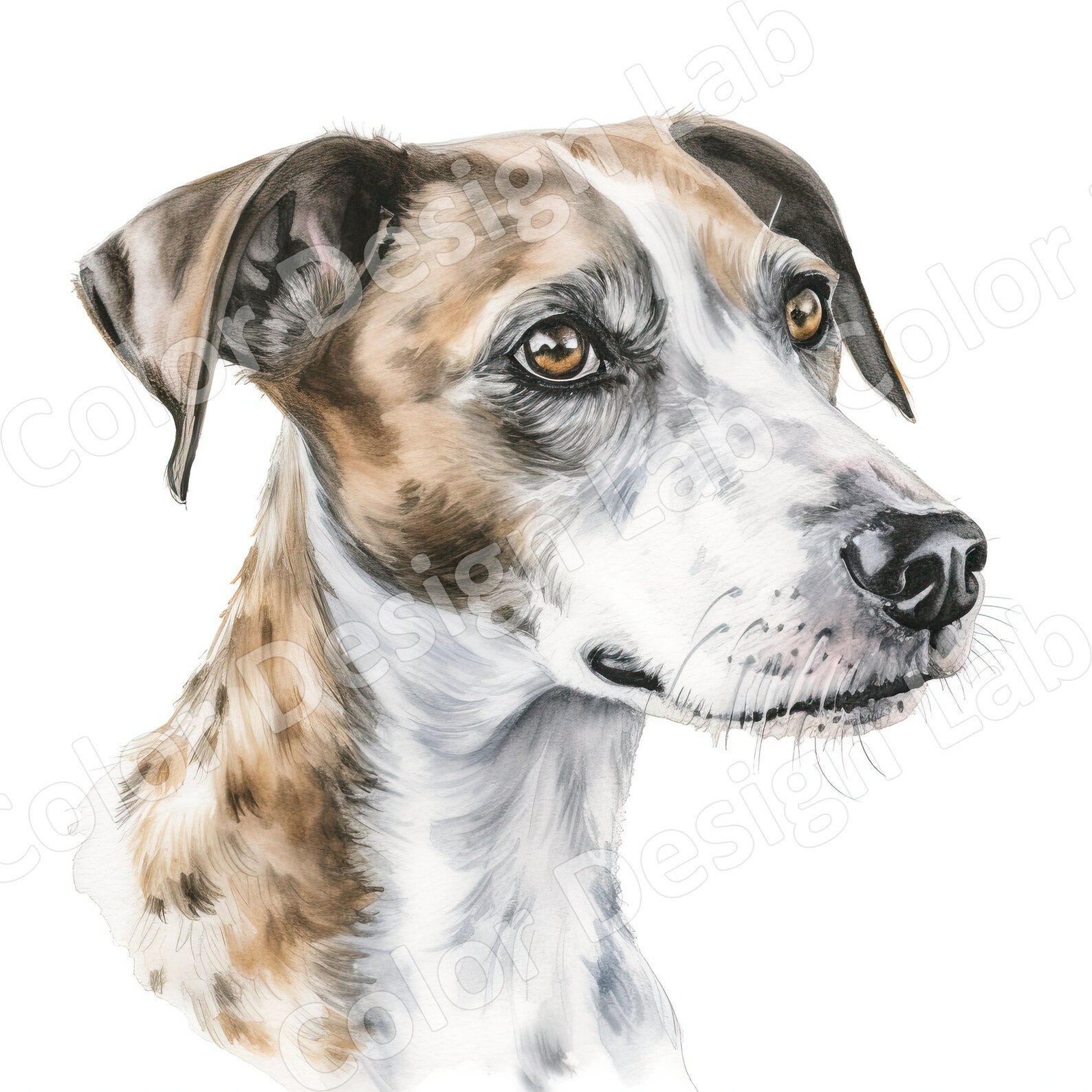Whippet Clipart Design, Hand-drawn Sighthound Art, Sleek and Athletic ...