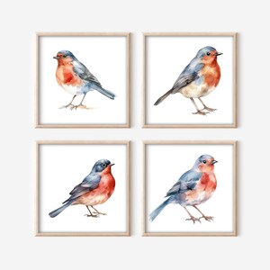 Christmas Robin Printable Clipart Set, 8 High-resolution Pngs of Robins ...