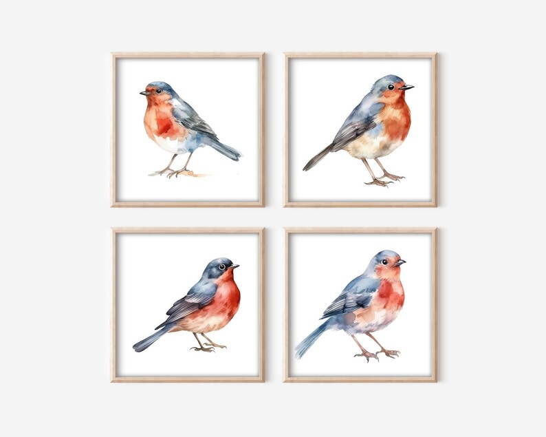 Christmas Robin Printable Clipart Set, 8 High-resolution Pngs of Robins ...