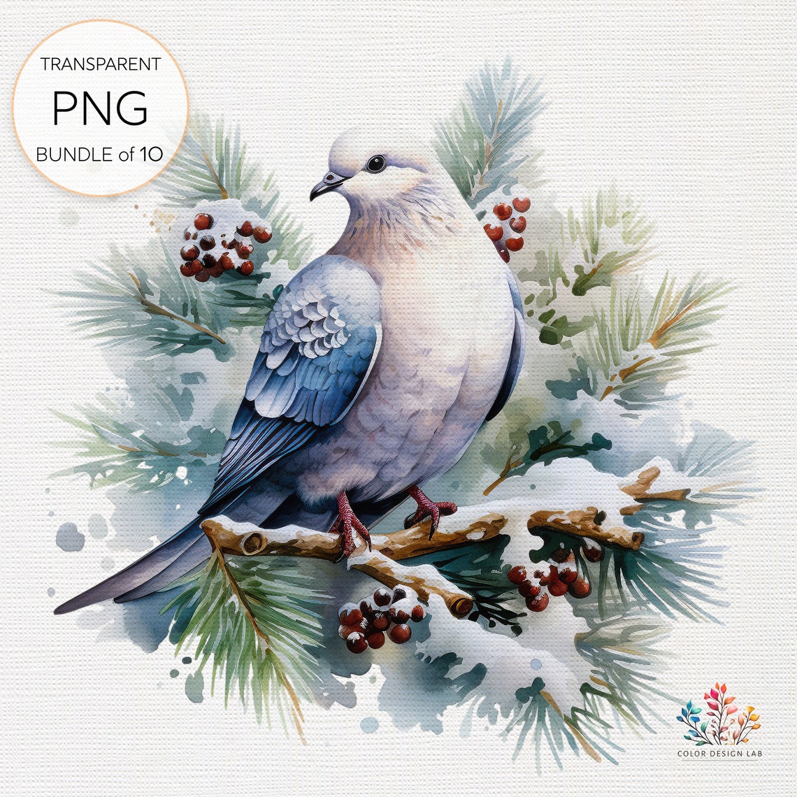 Christmas Dove Clipart, Beautiful Dove of Peace, Watercolor Christmas ...
