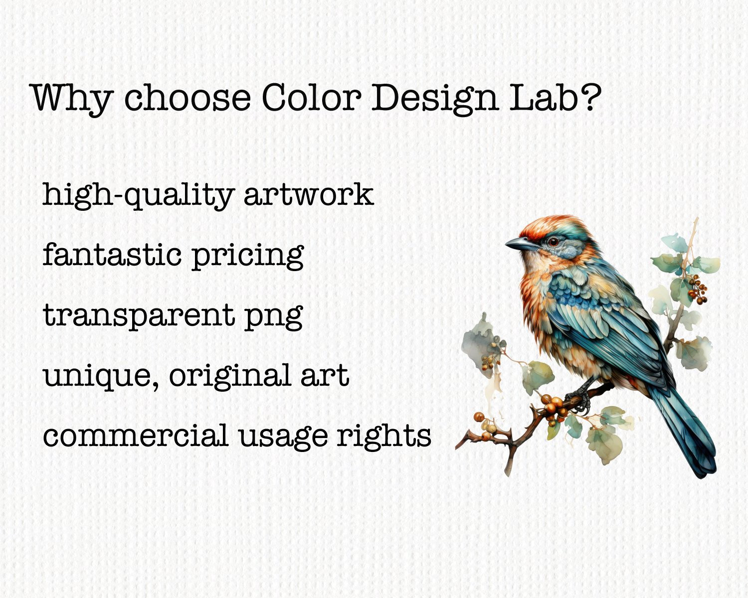 Boho Bird PNG Clipart Image Hand-drawn Artistic Avian Design - Etsy