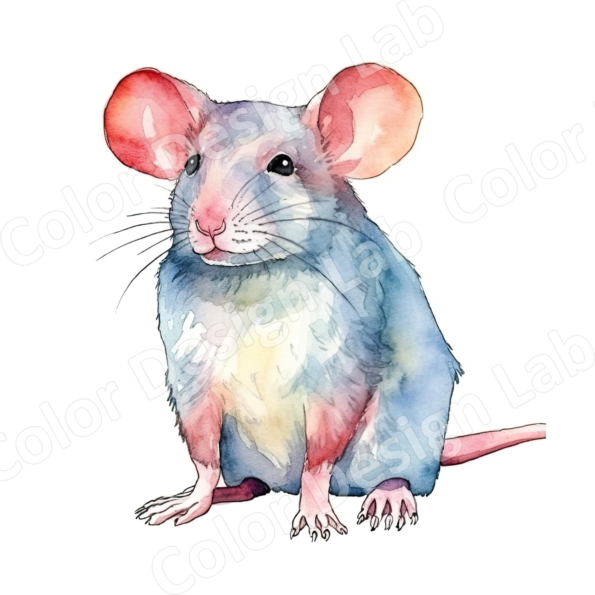 Cute Rat Clipart 8 High Quality PNG Artwork Digital - Etsy