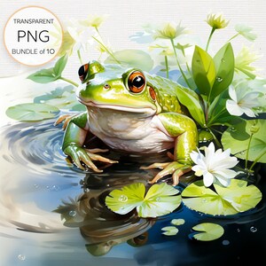 Frog on Lily Pad Clipart - Adorable Amphibian Illustration PNG, Pond ...