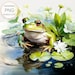 Frog on Lily Pad Clipart - Adorable Amphibian Illustration PNG, Pond ...