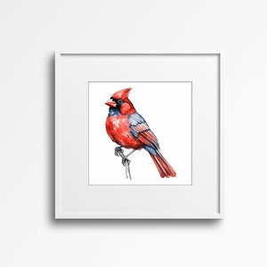 Red Cardinal Printable Clipart Set, 8 High-resolution Pngs of the Bird ...