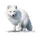 Happy Arctic Fox Clipart Set of 8 Printable Art PNG, Digital Download ...