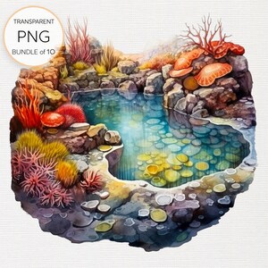 Set of 10 Watercolor Tidepools Clipart Pngs for Coastal Card Making and ...