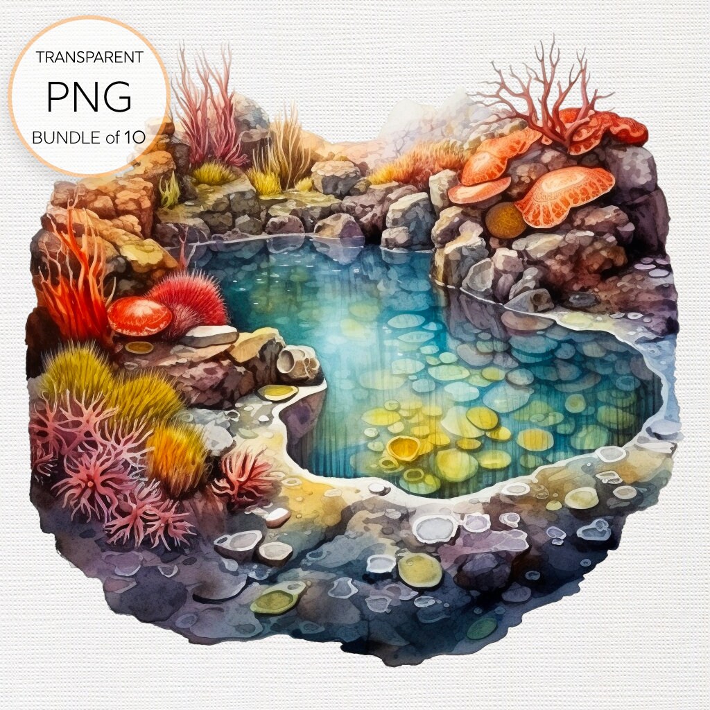 Set of 10 Watercolor Tidepools Clipart Pngs for Coastal Card - Etsy