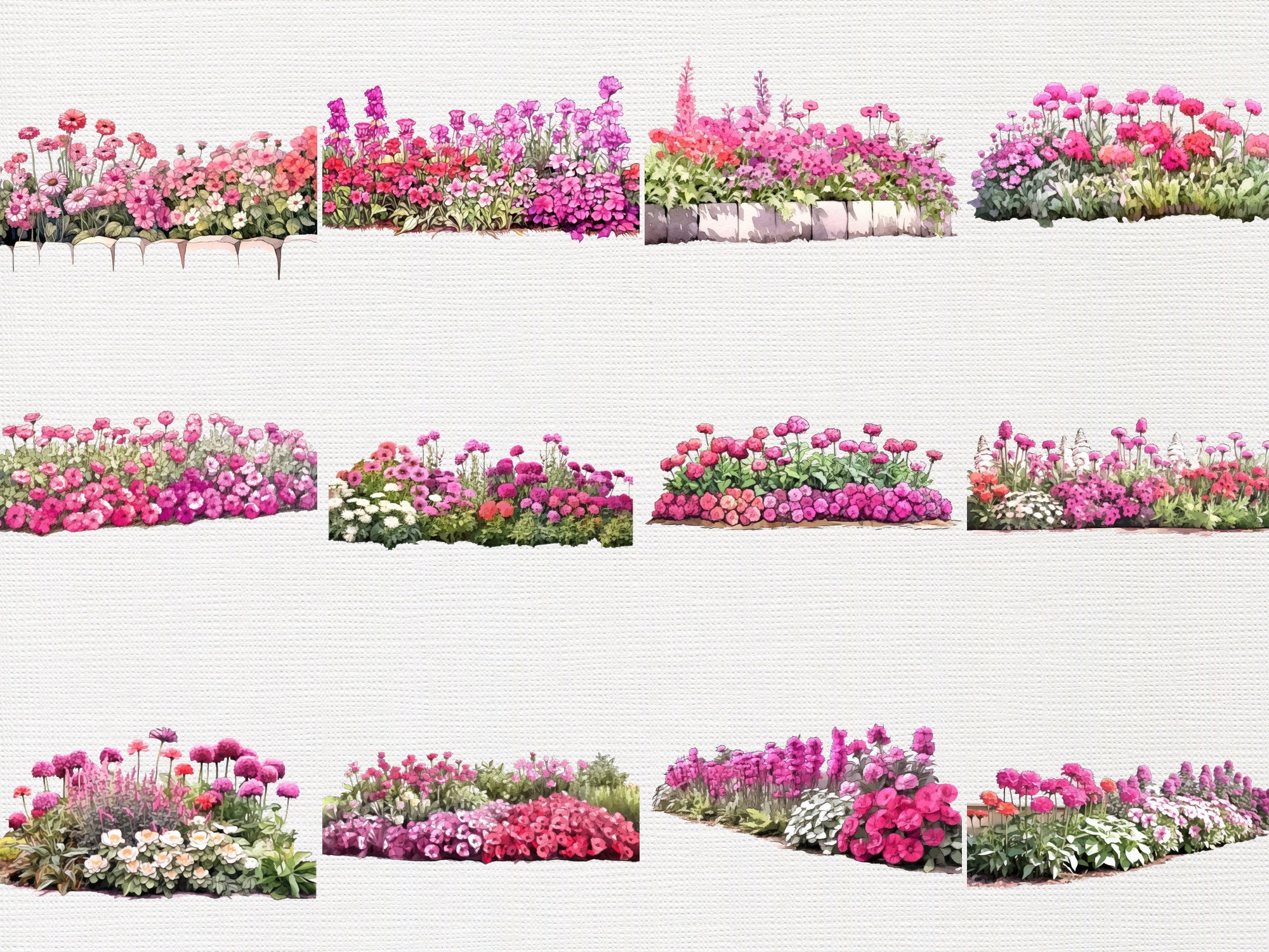 Flower Bed Clipart Watercolor Rosebed Pngs Digital Download - Etsy New ...