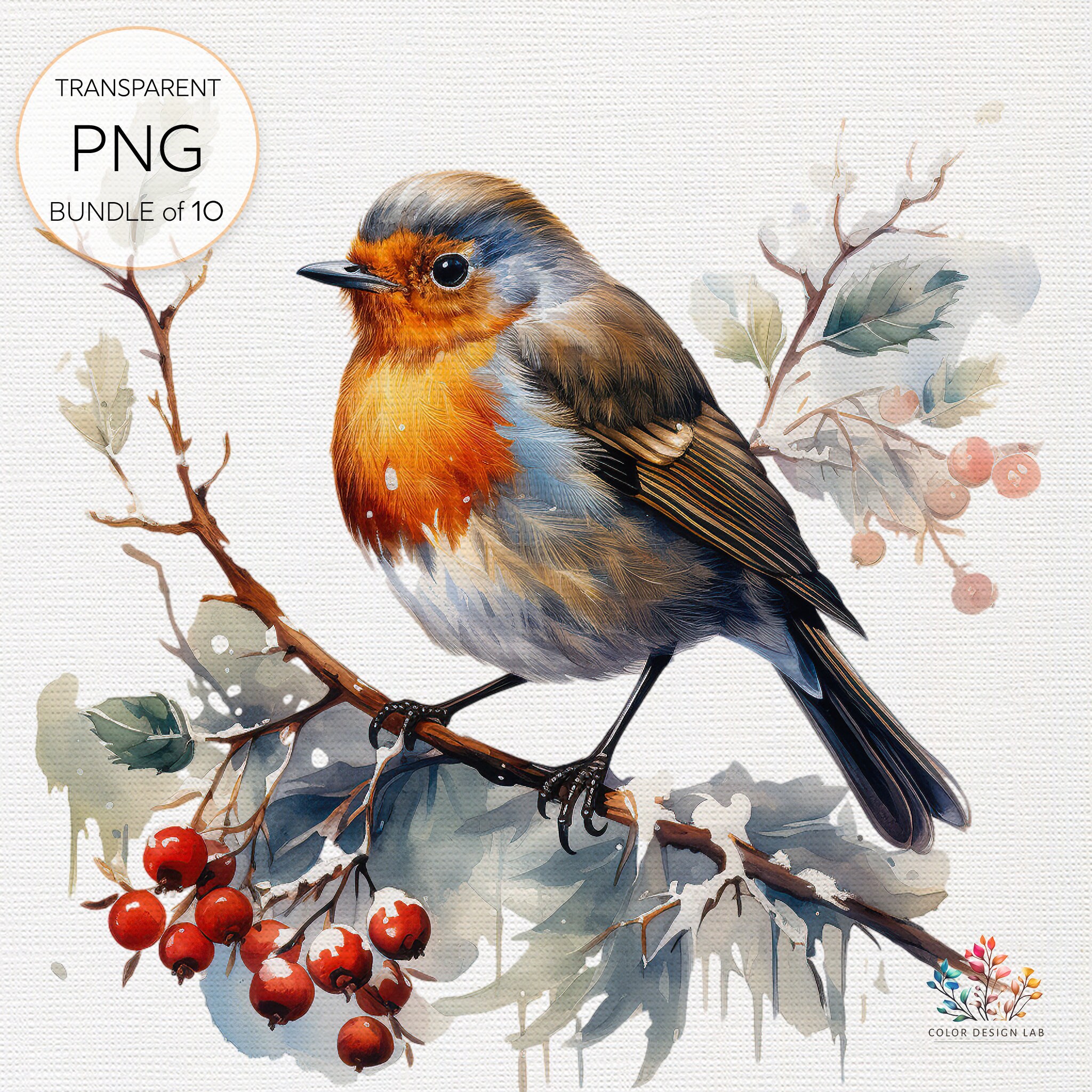 Christmas Robin Clipart: Winter Holiday Charm Vibrant Red-breasted ...