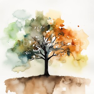 Solitary Tree Printable Clipart - Set of 8 High-quality Tree PNG ...