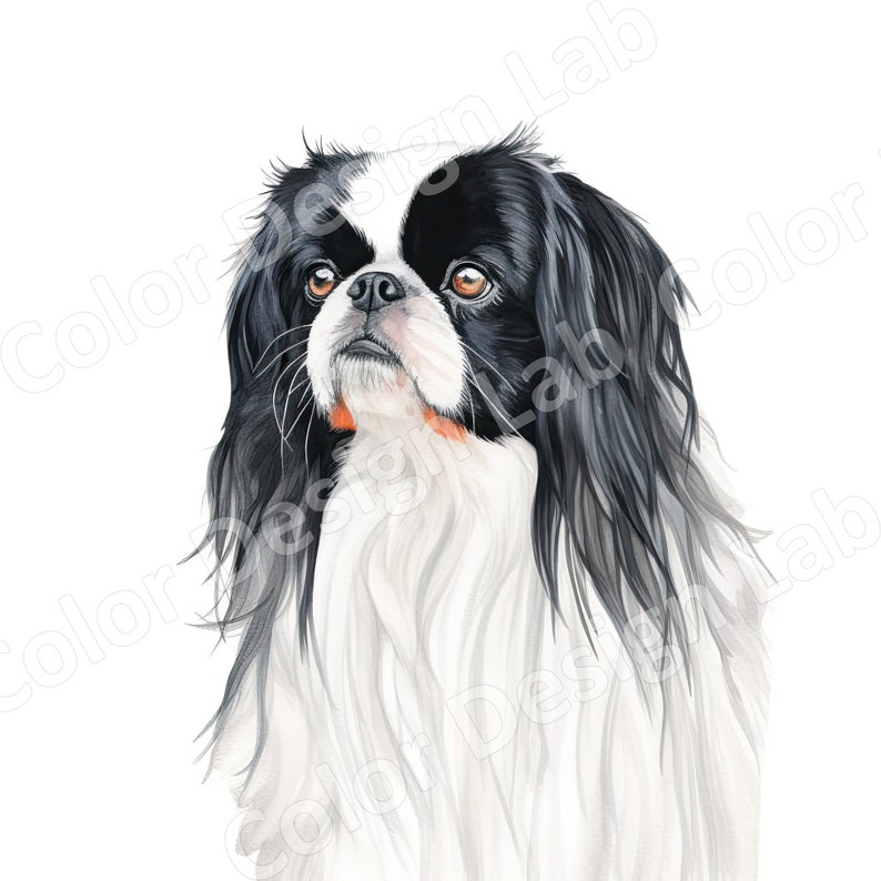 Composed Japanese Chin Clipart Set 8 Printable Images - Etsy