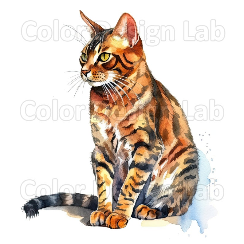 Bengal Cat Clipart Printable Art Set of 8 PNG Bengal Cat - Etsy