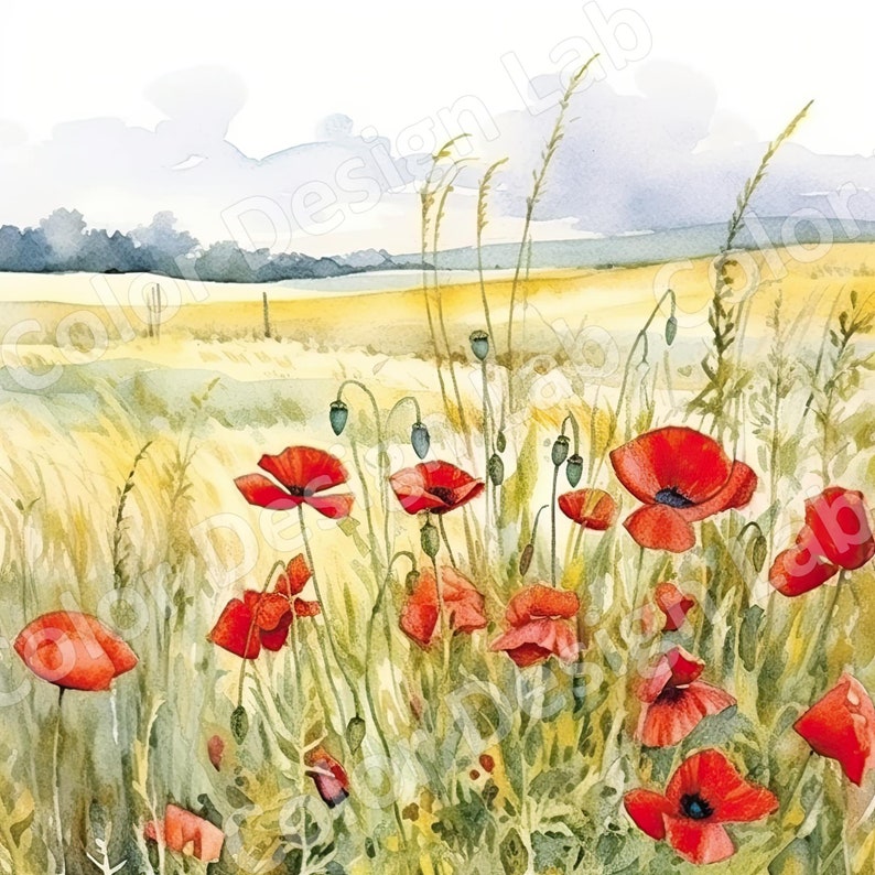 Field of Poppies Printable Clipart Set 8 High-resolution PNG - Etsy