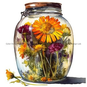Flower Jar Clipart - Set of 12 PNG, High-definition Floral Jar Graphic ...