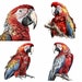 Scarlet Macaw Art Printable Clipart Bundle Set of 8 PNG, Instant ...