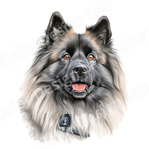 Focused Keeshond Clipart Bundle, Keeshond Digital Download, Set of 8 ...
