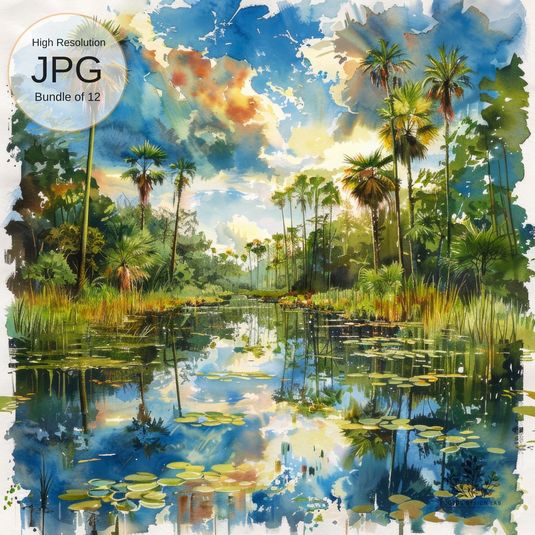 Everglades Swamp, Scenic Watercolor Clipart, Nature Landscape Digital ...