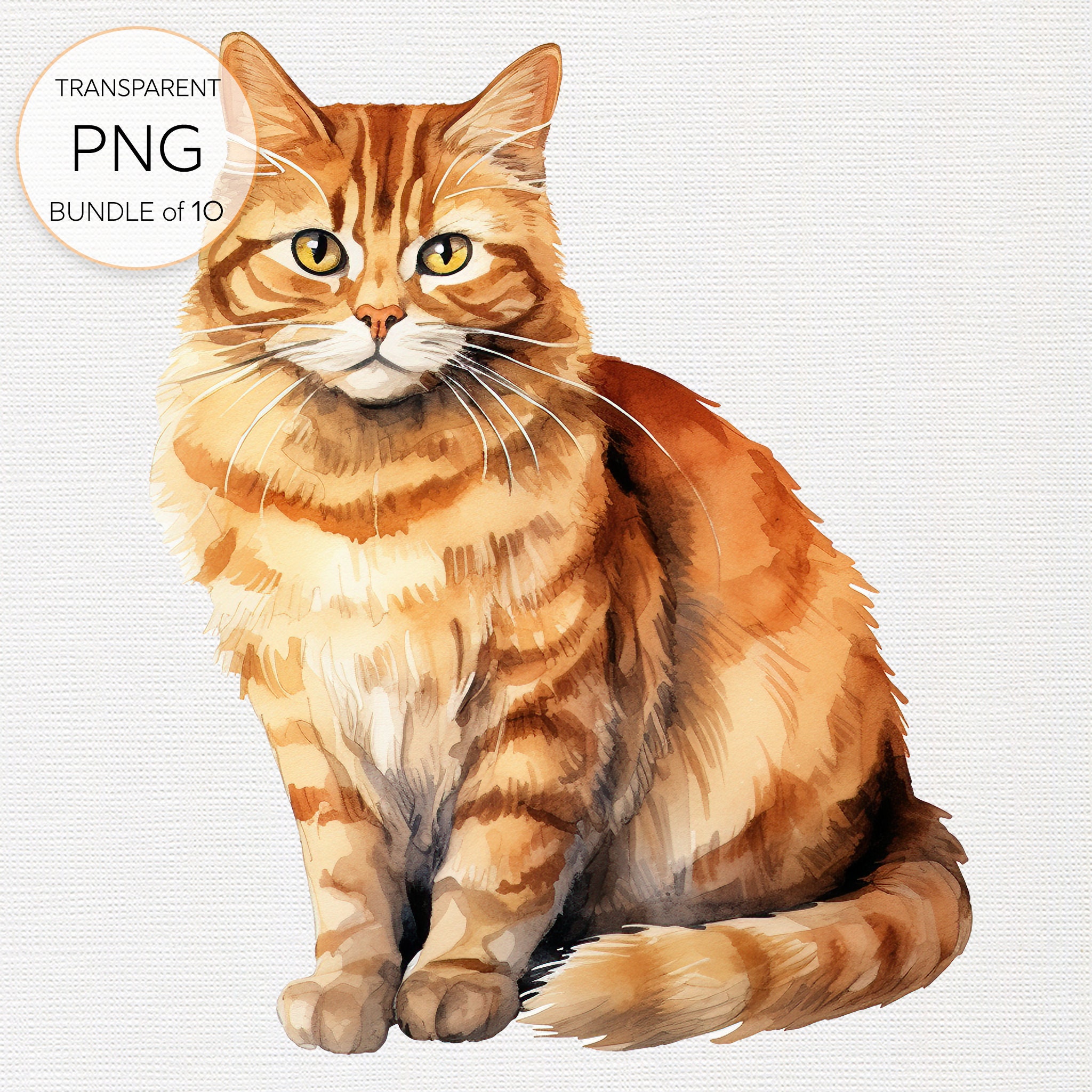 Brown Cat Clipart Image Hand-drawn Furry Feline Design - Etsy