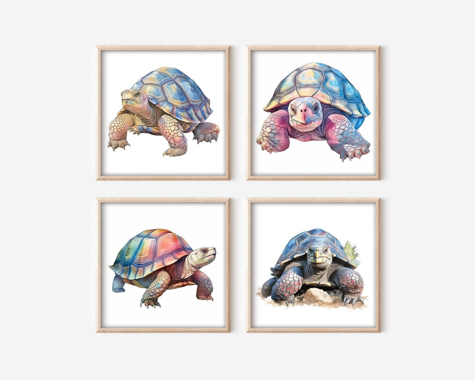 Tortoise Printable Clipart, Set of 8 High-resolution Tortoise Pngs ...