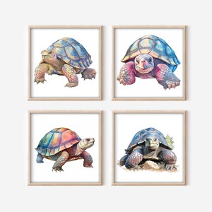 Tortoise Printable Clipart, Set of 8 High-resolution Tortoise Pngs ...