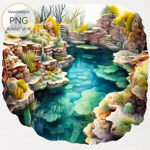 Set of 10 Watercolor Tidepools Clipart Pngs for Coastal Card Making and ...