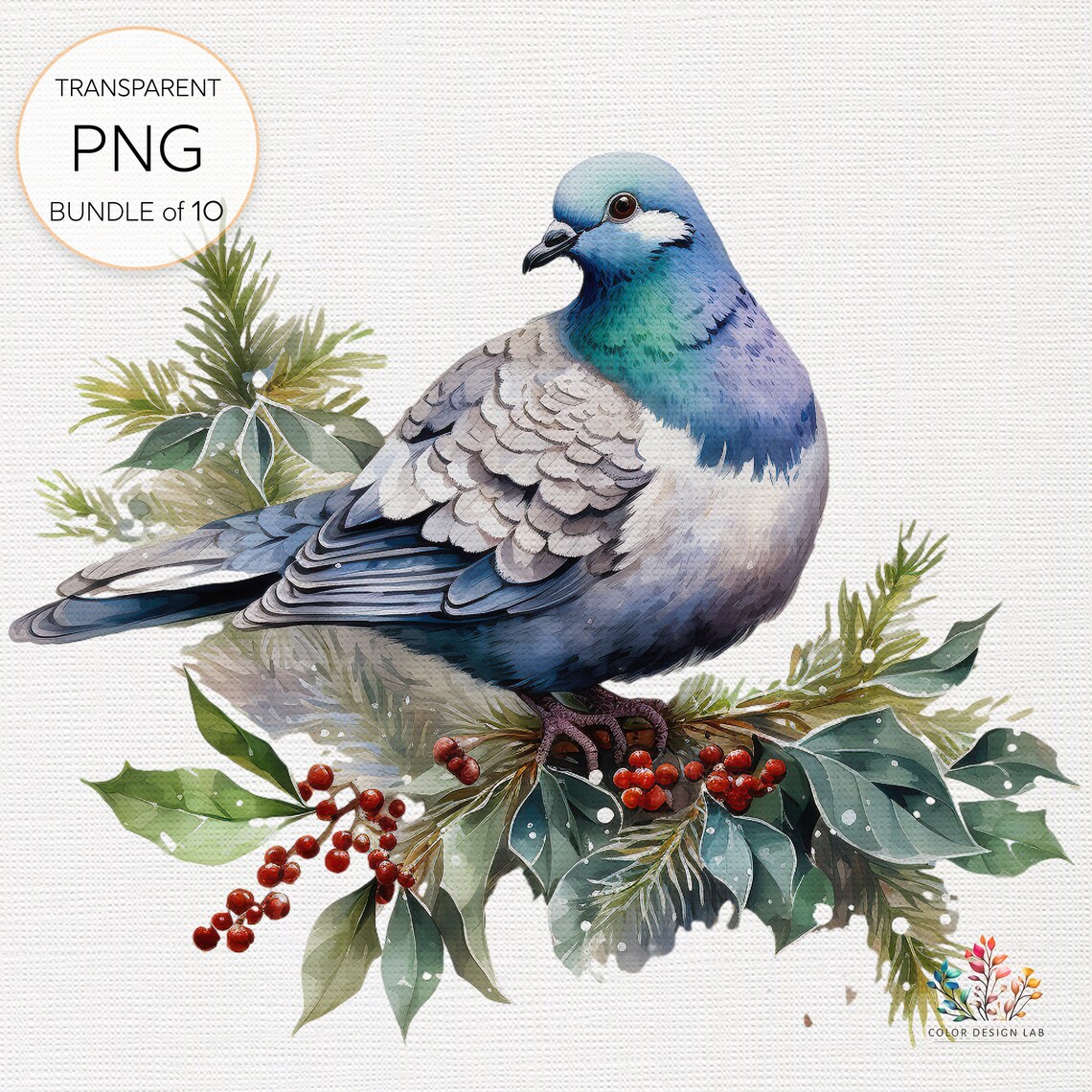 Christmas Dove Clipart, Beautiful Dove of Peace, Watercolor Christmas ...