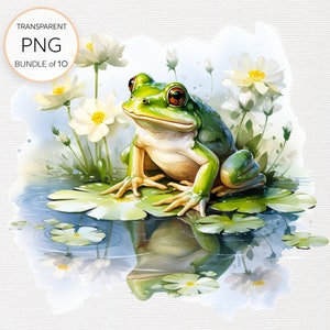 Frog on Lily Pad Clipart - Adorable Amphibian Illustration PNG, Pond ...