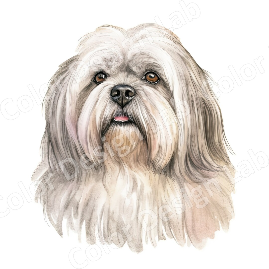 Diseño de imágenes prediseñadas de Lhasa Apso, arte de perro tibetano ...