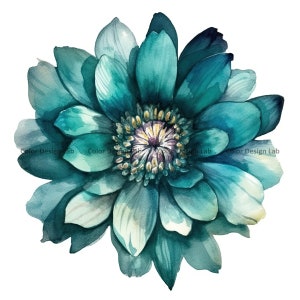 Flower Teal Clipart - Set of 12 High-quality Floral PNG - Digital ...