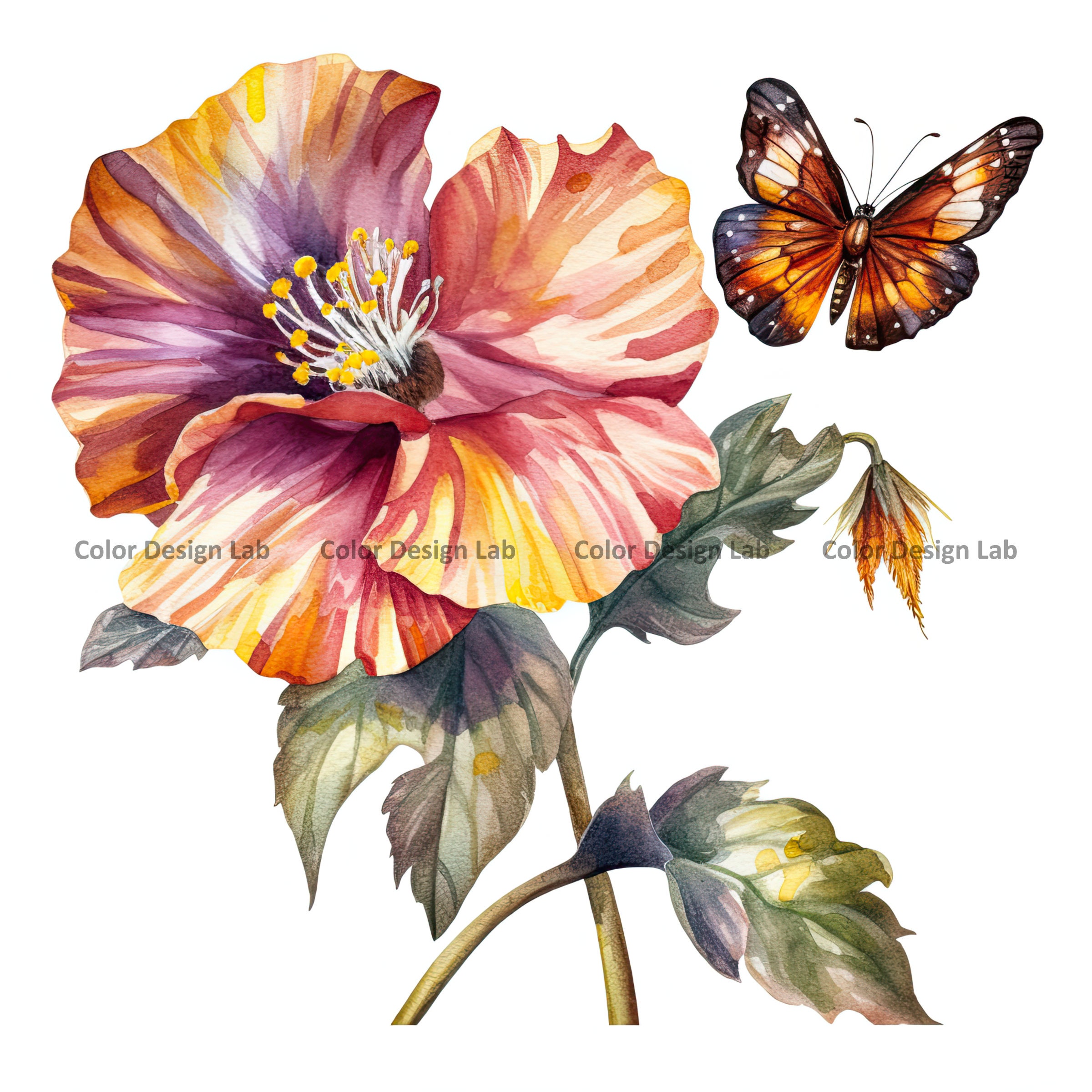 Flower and Butterfly Clipart Set of 12 High-quality Floral - Etsy