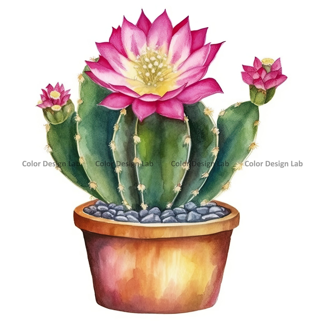 Cactus With Flower Clipart Set of 12 PNG Digital Download - Etsy