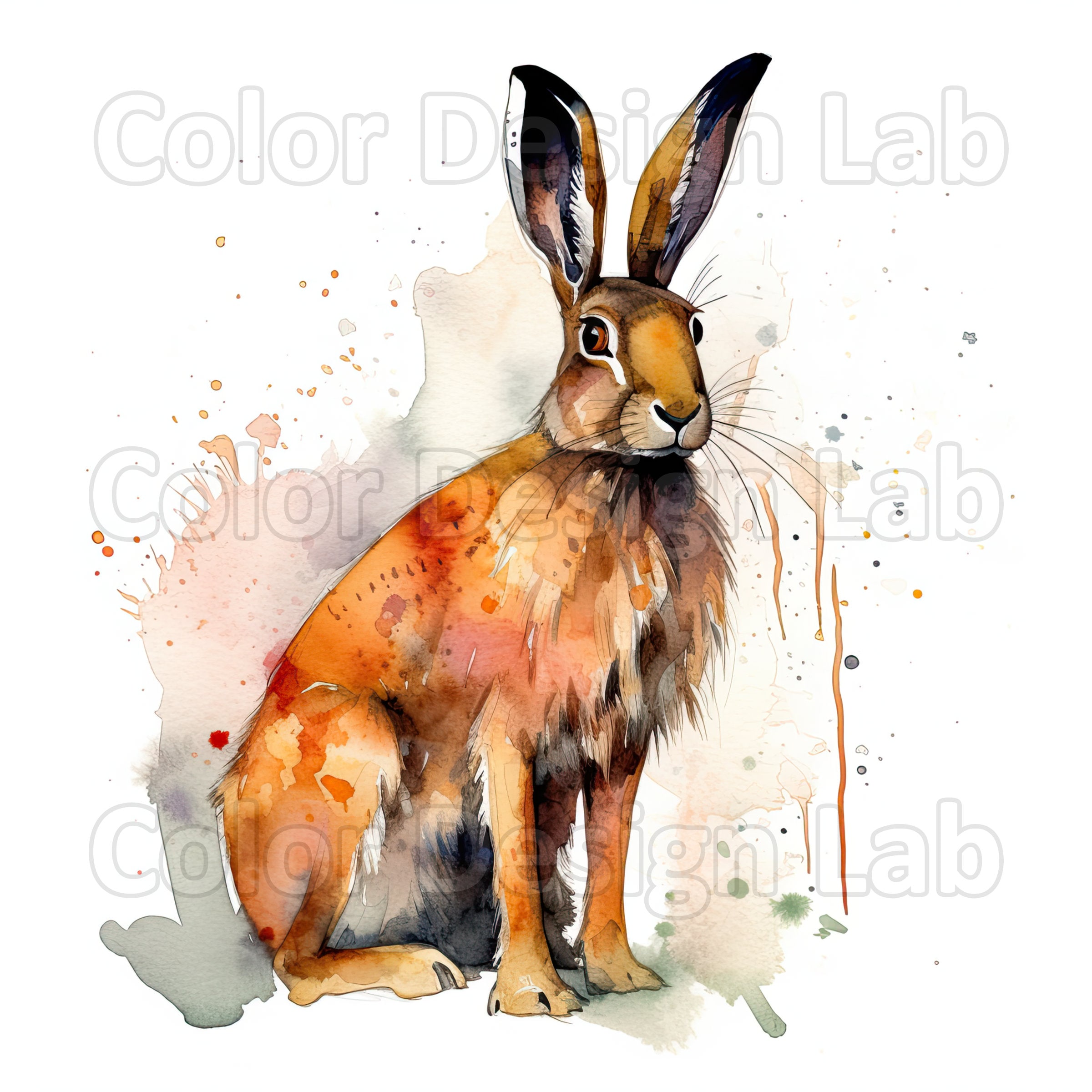 Hare Clipart Set of 8, High-quality PNG, Watercolor Hare Instant ...