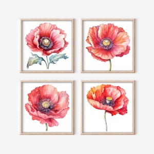 Poppy Printable Wall Art Download, Poppy Set of 8 High-resolution PNG ...