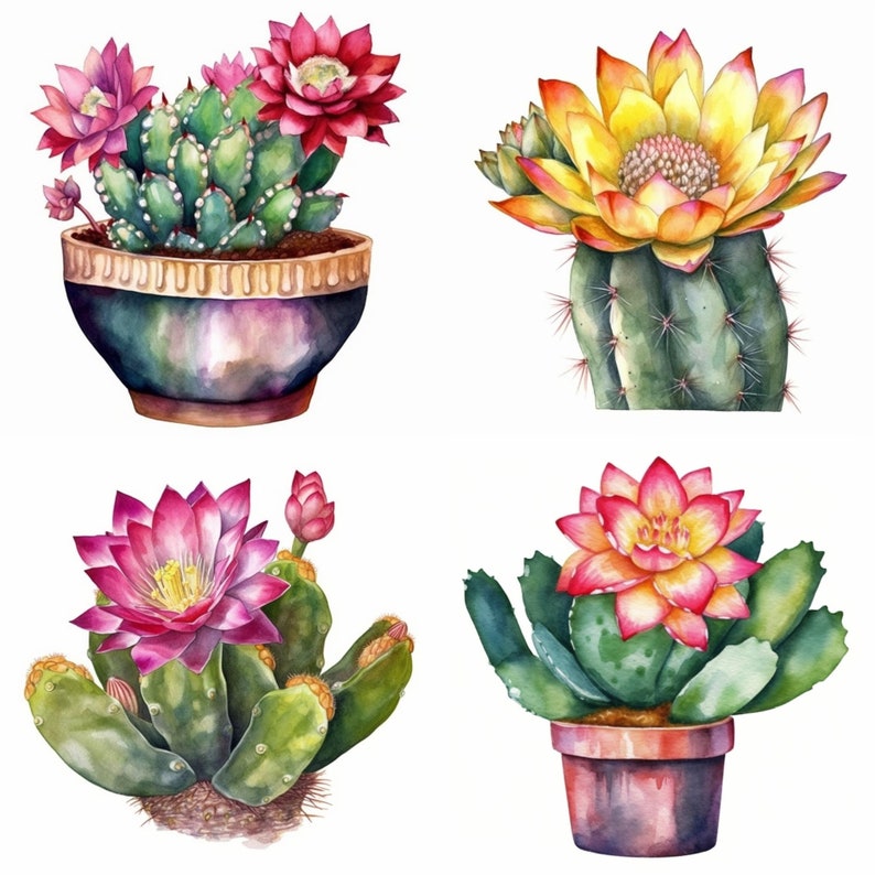 Cactus With Flower Clipart Set of 12 PNG Digital Download - Etsy