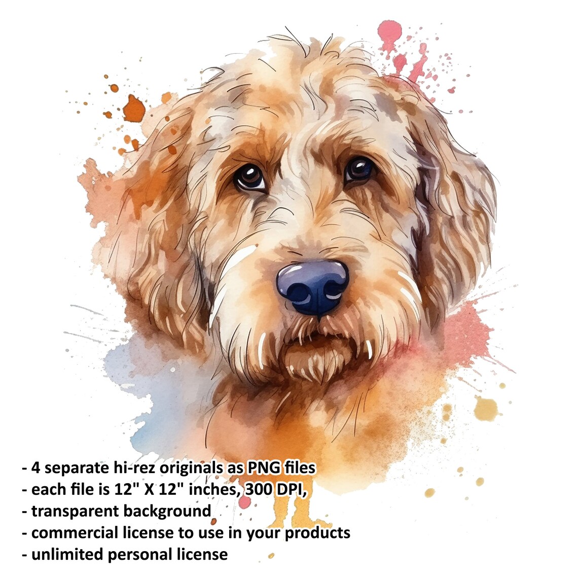 Labradoodle Watercolor Clipart Hand-painted Poodle Mix Curly - Etsy