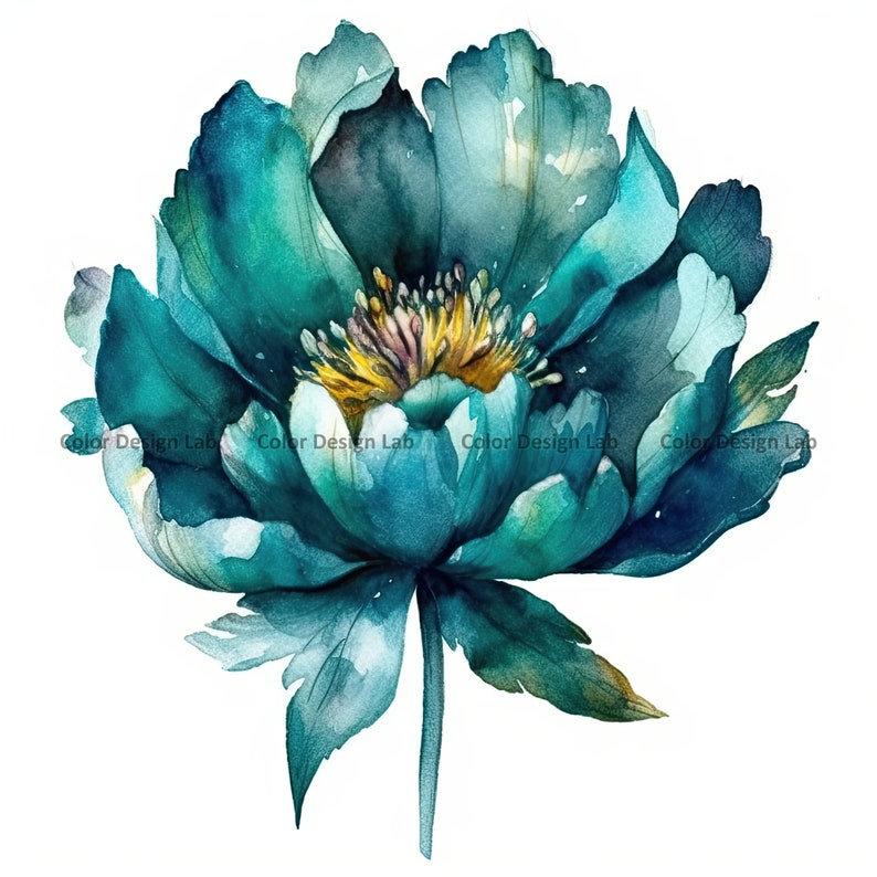 Flower Teal Clipart Set of 12 High-quality Floral PNG - Etsy