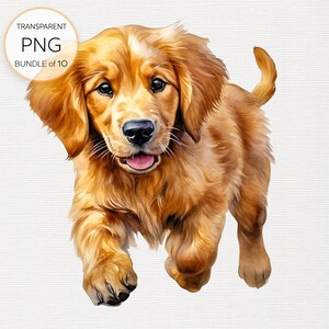 Golden Retriever Puppy Clipart - Set of 10, High-resolution PNG ...
