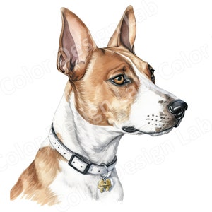 Inquisitive Basenji Printable Clipart Set, 8 High-resolution Dog Images ...