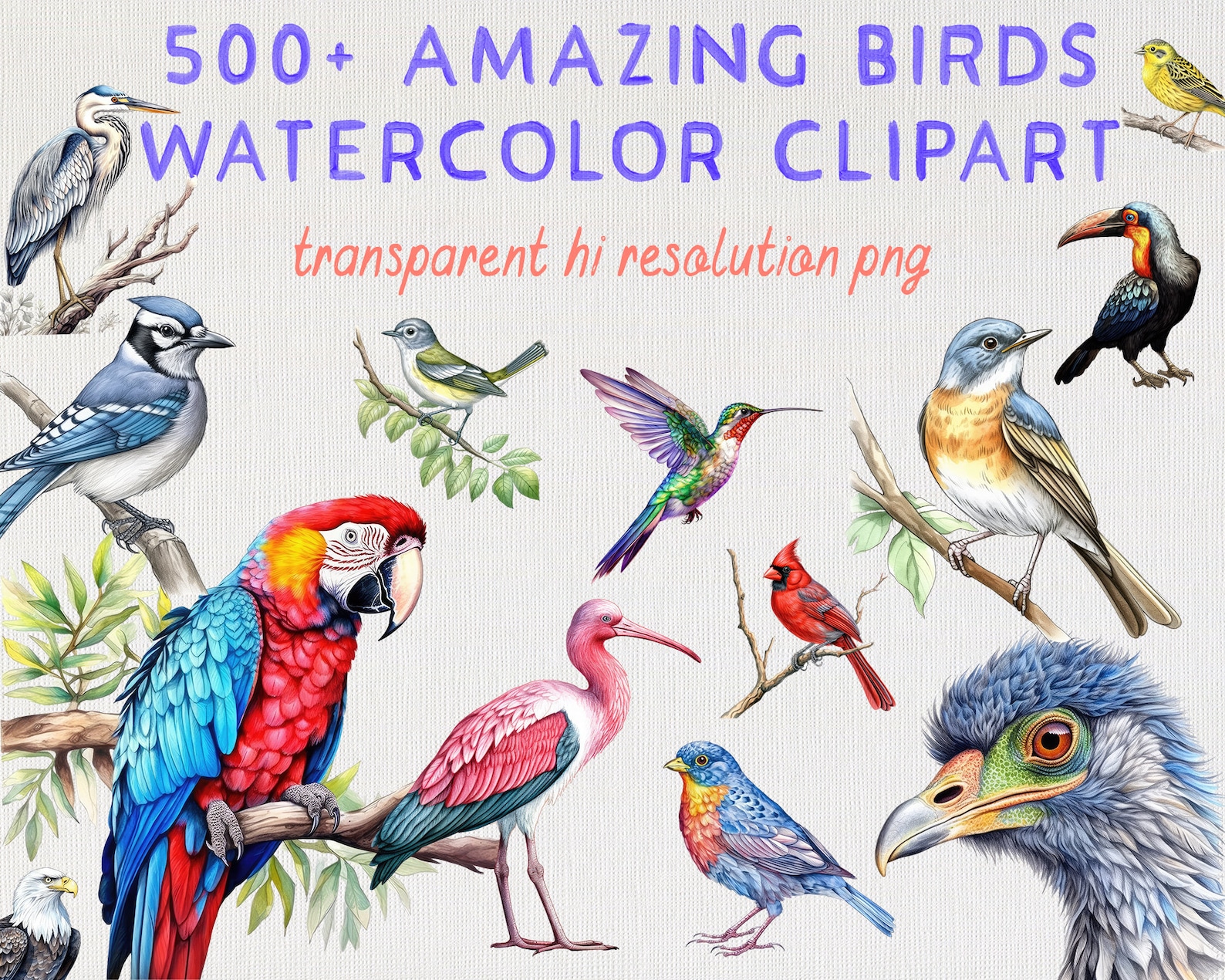 500 Bird Clipart Bundle PNG Images of Birds for Digital - Etsy