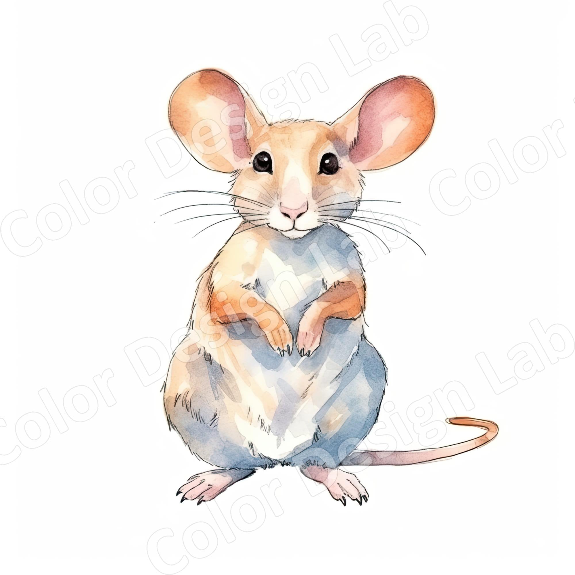 Cute Rat Clipart 8 High Quality PNG Artwork Digital - Etsy