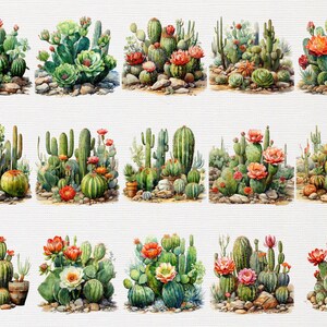 Boho Cactus Clipart Bundle of 36 Quality Transparent Watercolor Png ...