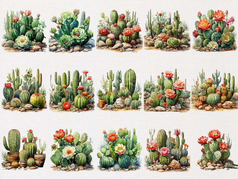 Boho Cactus Clipart Bundle of 36 Quality Transparent - Etsy