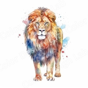 Lion Clipart, Set of 8 High Resolution PNG Images, Digital Download ...