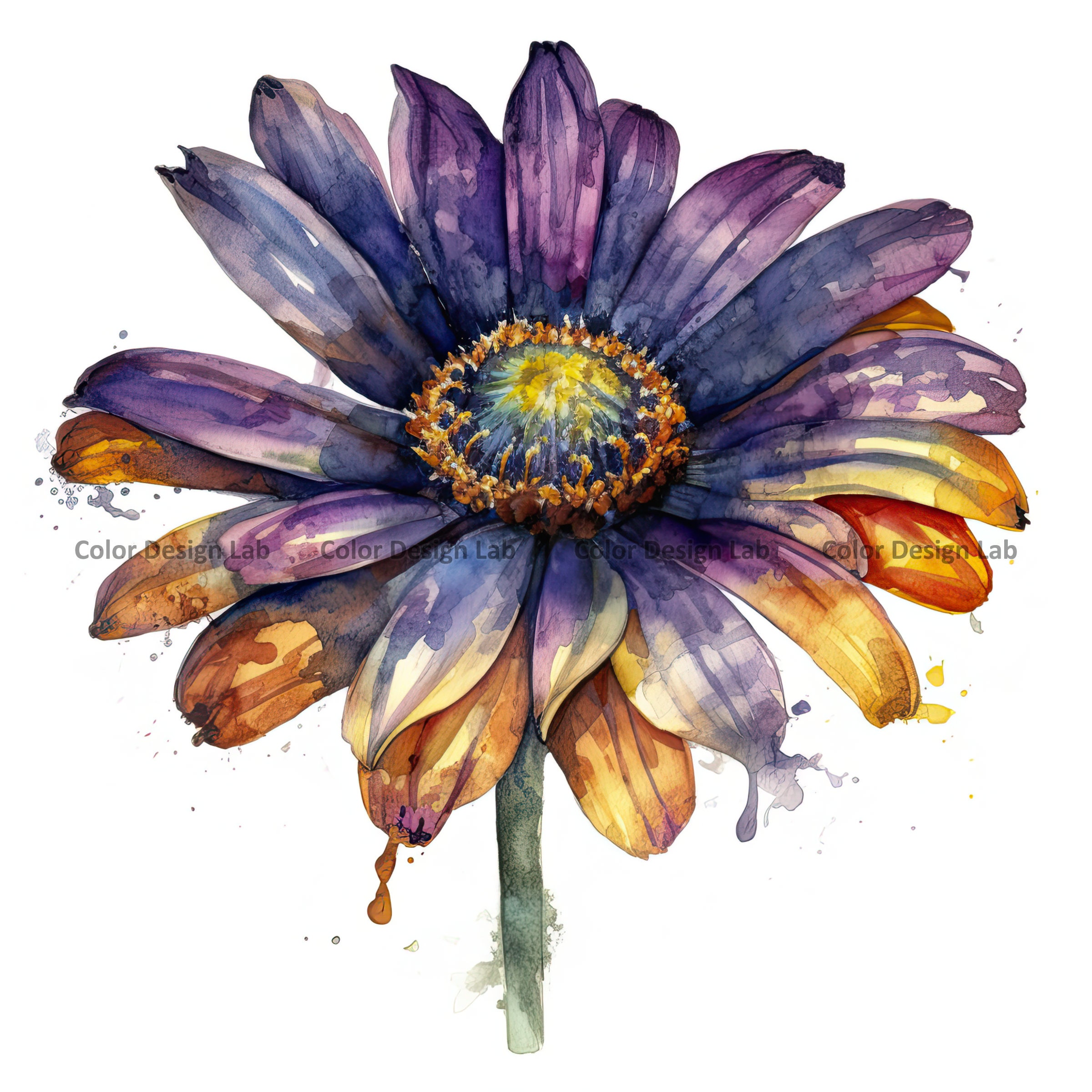 Daisy Flower Clipart Set of 12 High Quality Floral PNG - Etsy