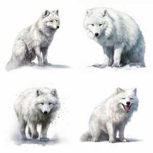 Happy Arctic Fox Clipart - Set of 8 Printable Art PNG, Digital Download ...