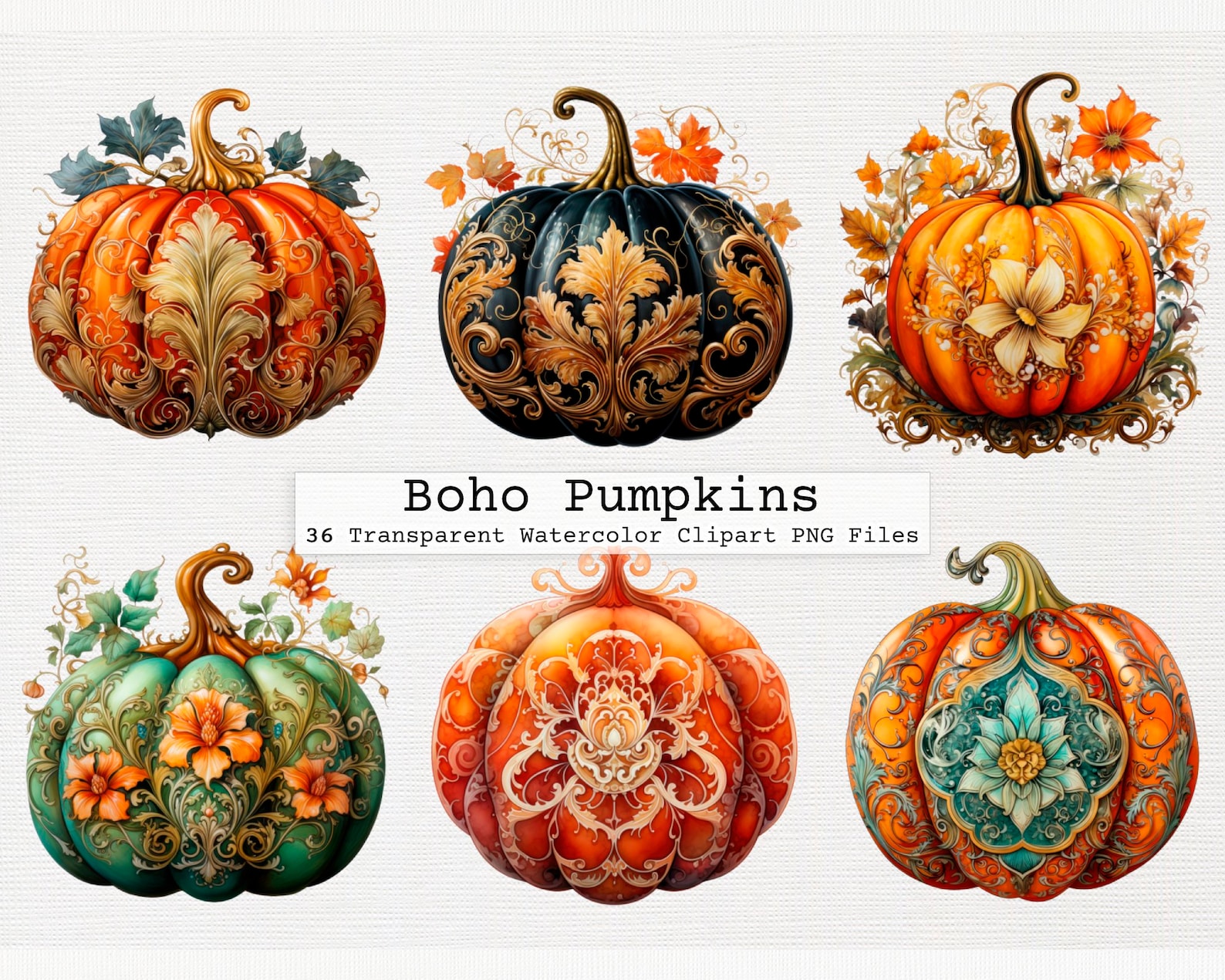 Boho Pumpkin Clipart Bundle of 36 Quality Transparent - Etsy