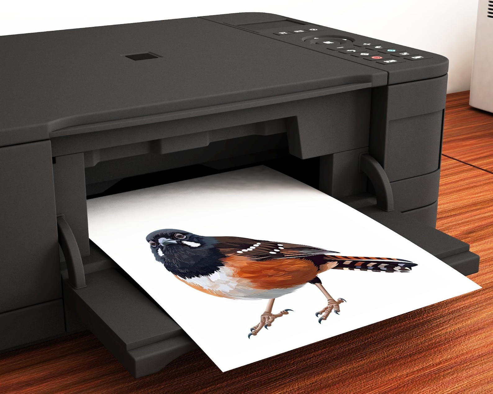 Spotted Towhee, Bird Art Print, High Resolution Digital Download, Bird ...