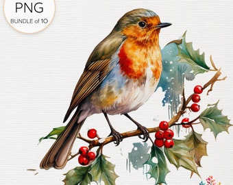 4 Christmas Robin Clipart Printable Watercolor Clipart High - Etsy