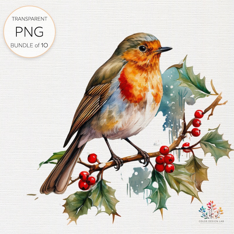 Robin Red Breast - Etsy